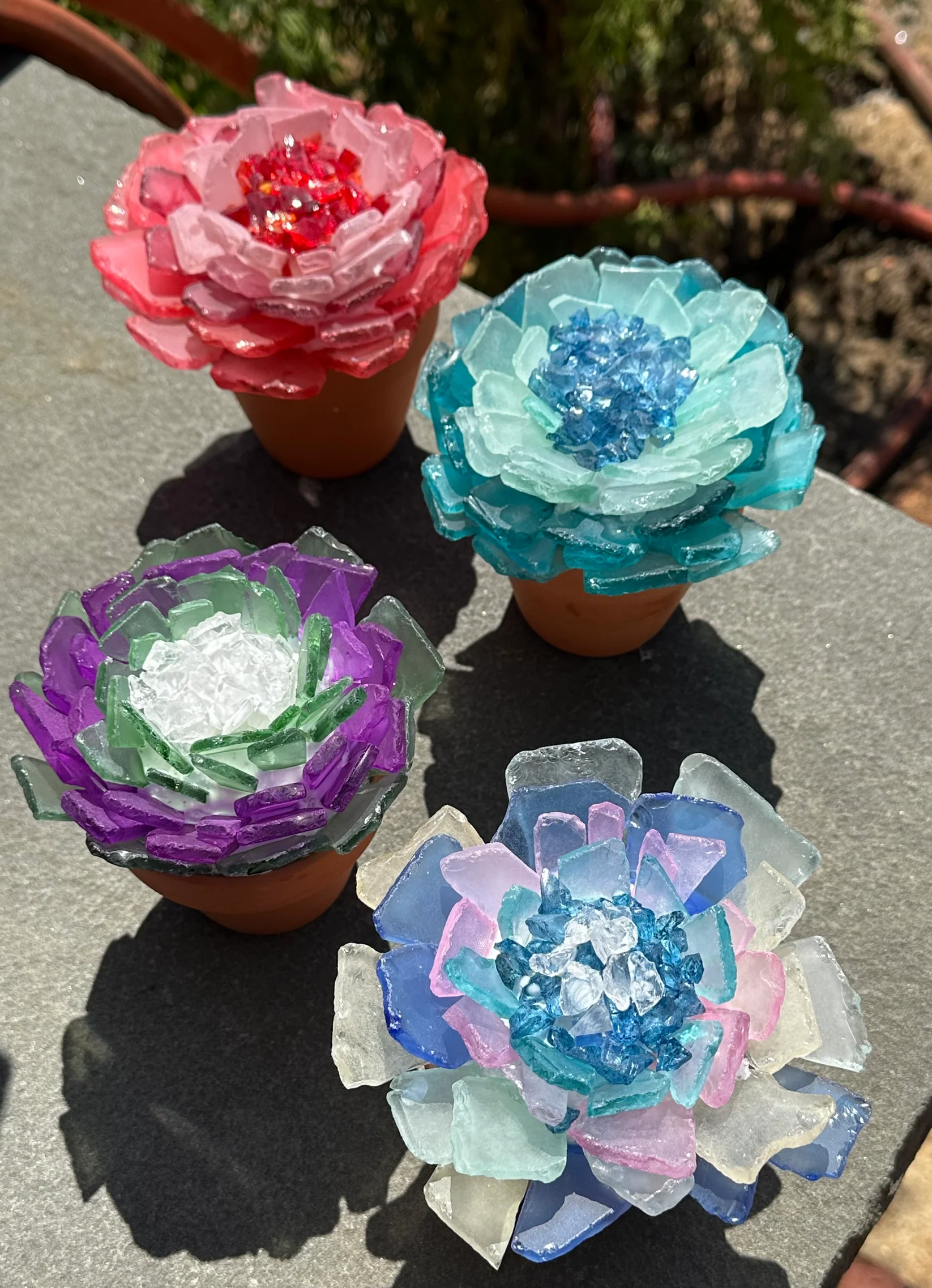 SOLD OUT - Sea Glass Succulent Trio - Calgo Gardens